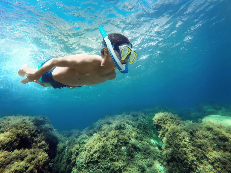 AMEO Powerbreather Wave Snorkel 2.0 (White/Blue) | Sportpursuit.com